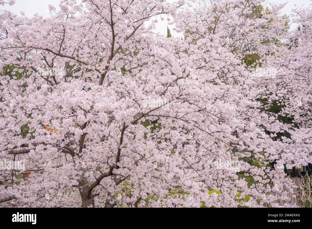 Sunny outdoor setting hi-res stock photography and images - Alamy