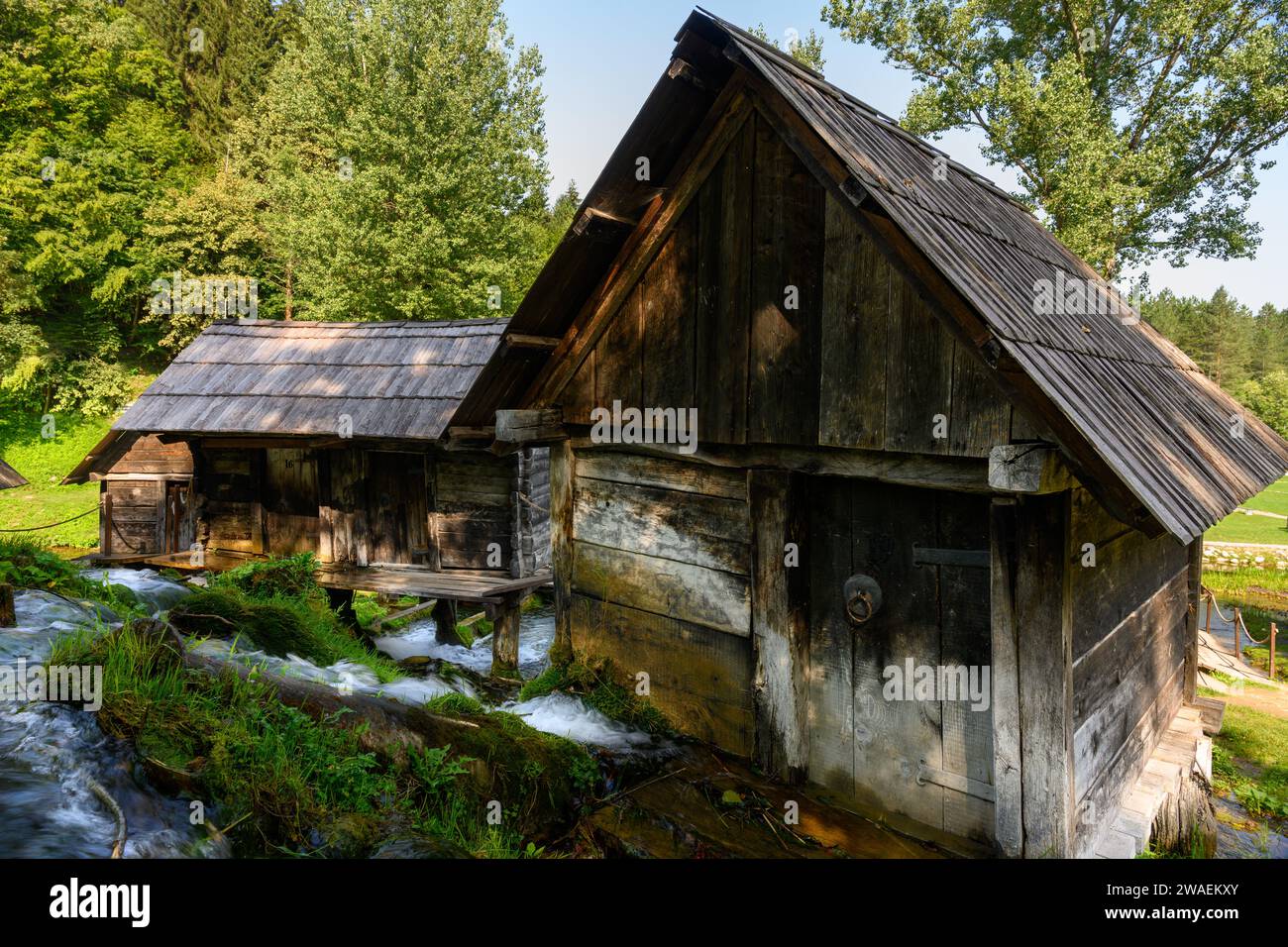 Watermills tree hi-res stock photography and images - Alamy