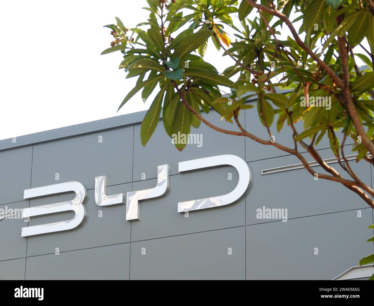Byd new energy vehicle hi-res stock photography and images - Alamy