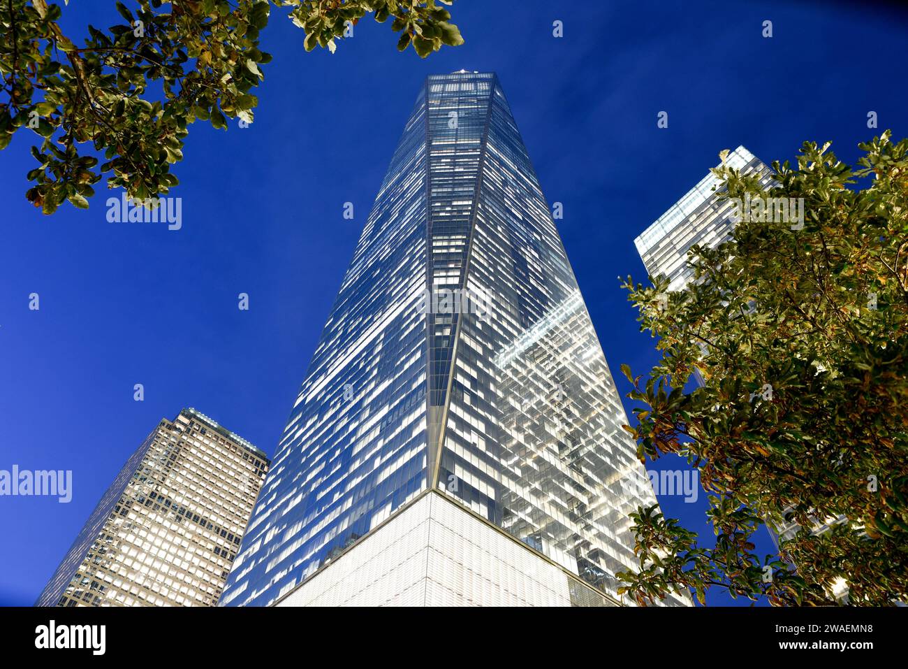 One World Trade Center by Night Stock Photo - Alamy