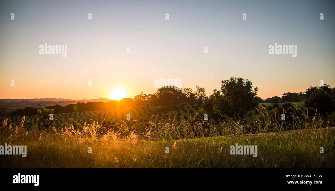 Golden sunset over meadow hi-res stock photography and images - Alamy