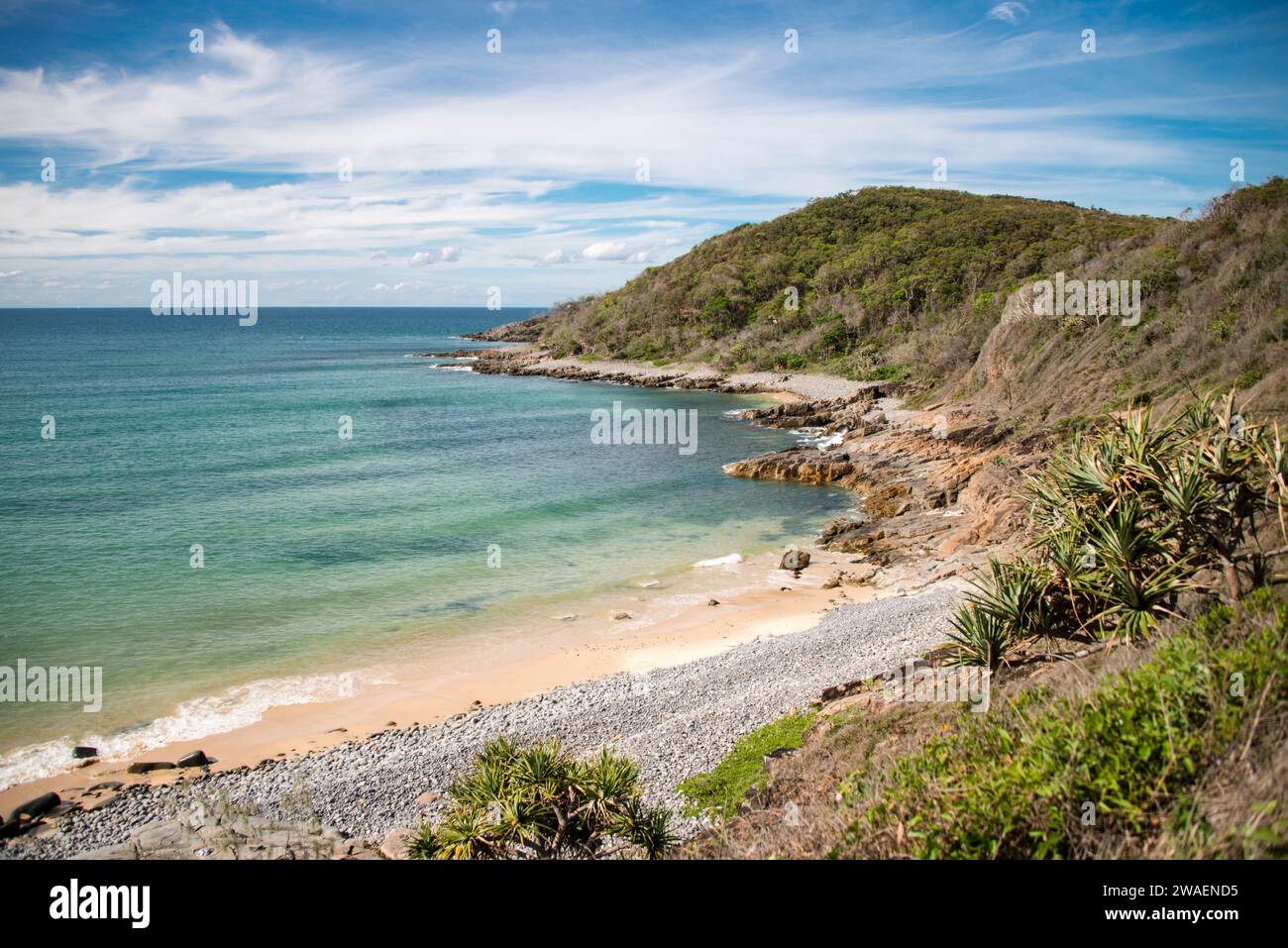 Shoreline with green vegetation hi-res stock photography and images - Alamy