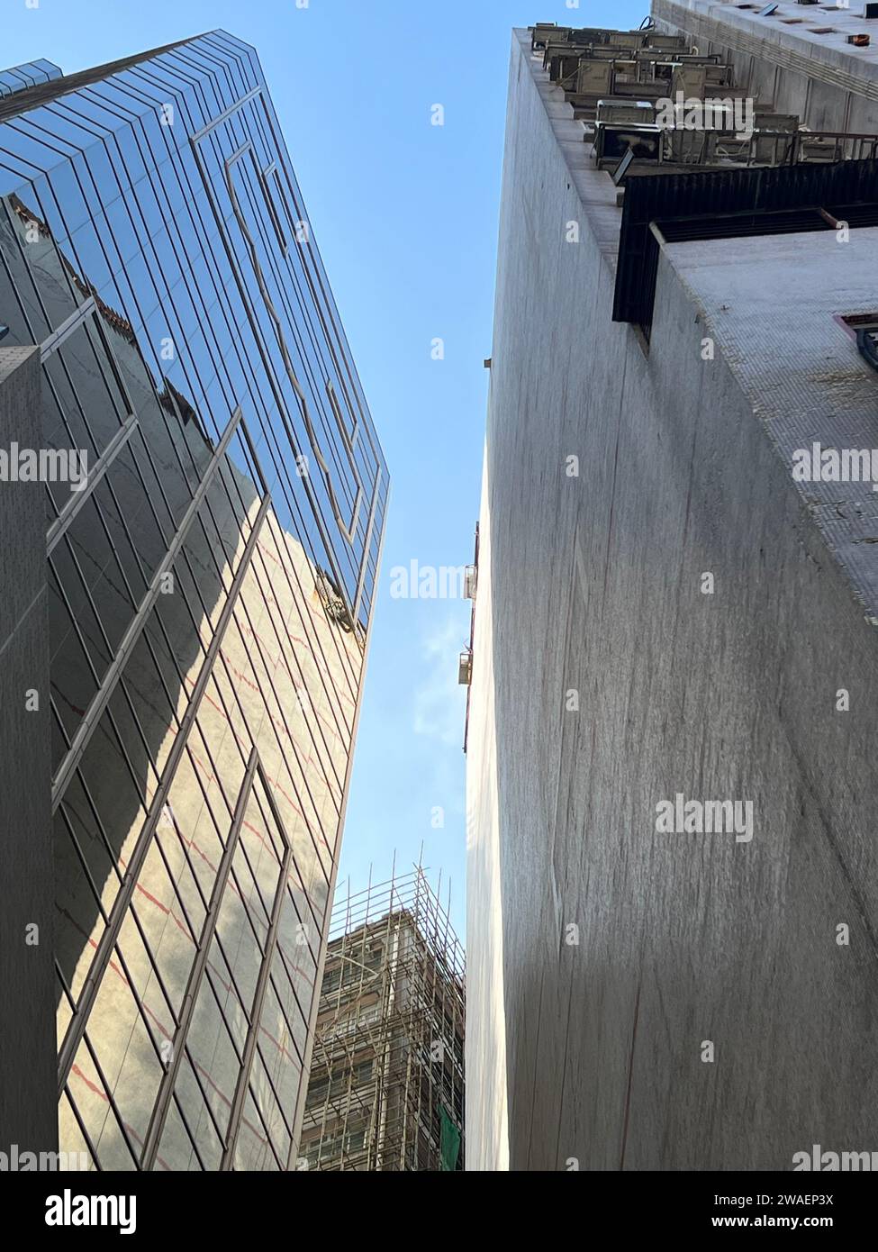 A modern building with protective scaffolding completely encasing its ...