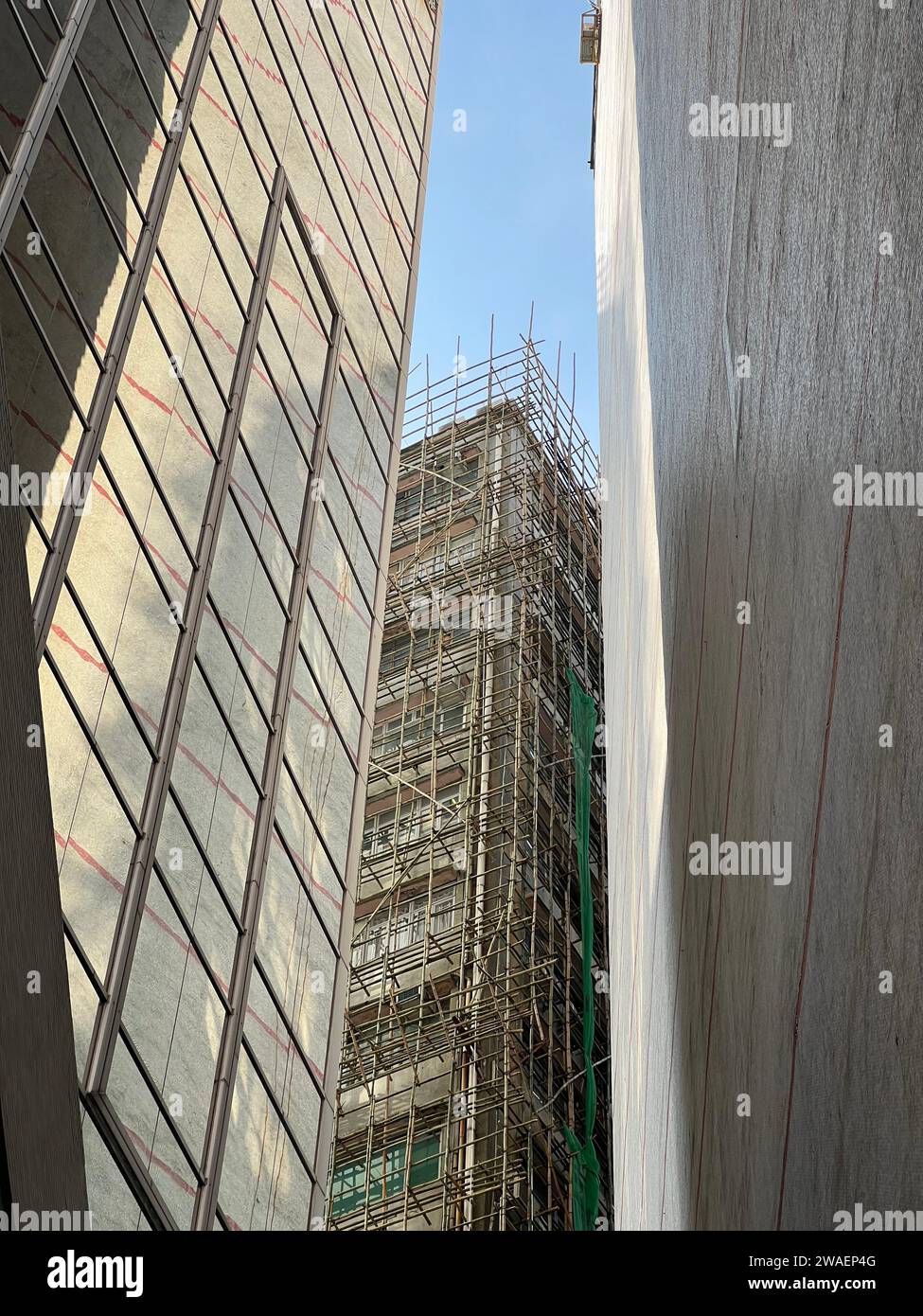 A modern building with protective scaffolding completely encasing its ...