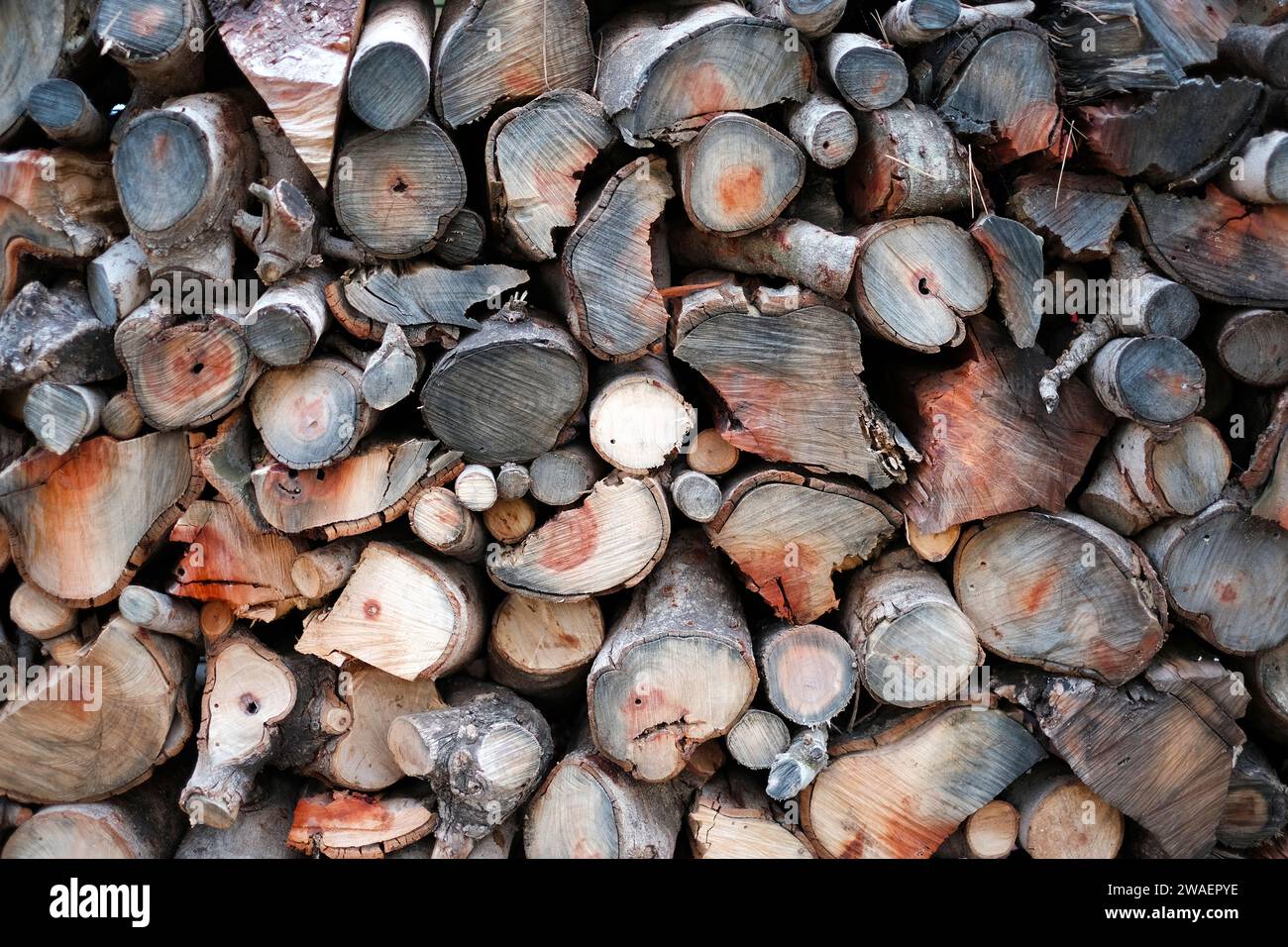 Timber shaping hi-res stock photography and images - Alamy