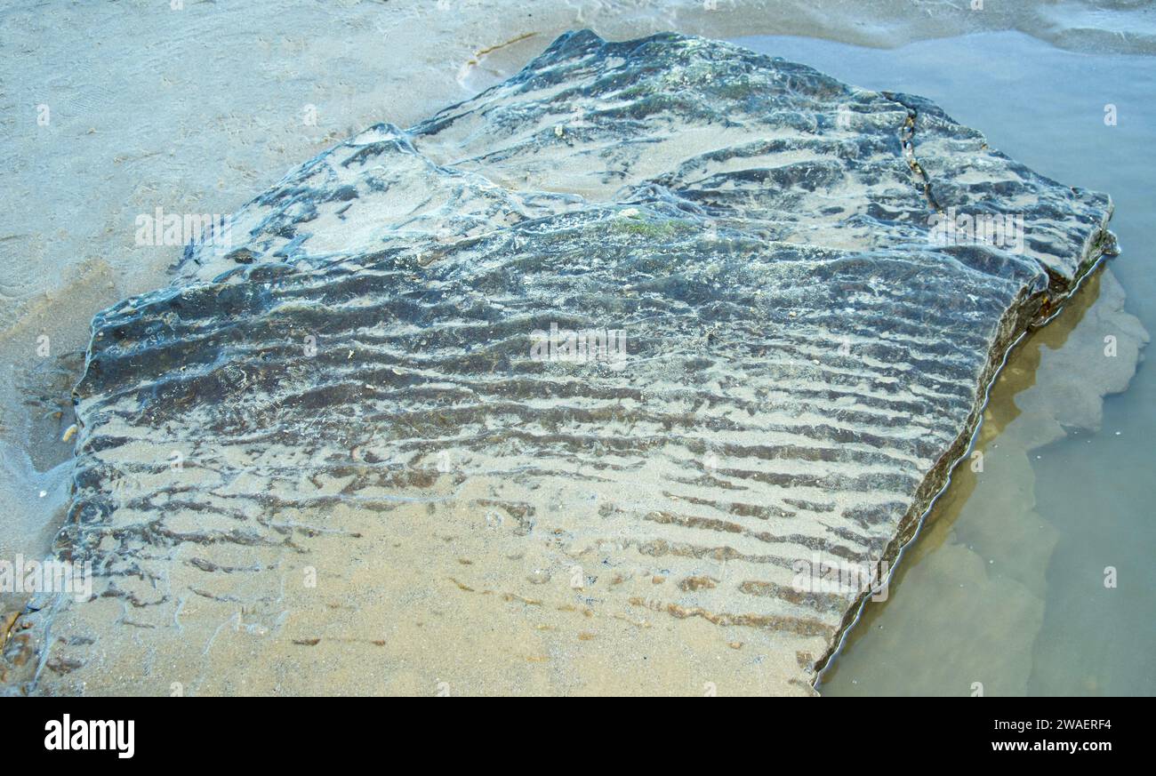 Ancient ripples from a Jurassic Coast some 125 million years before ...
