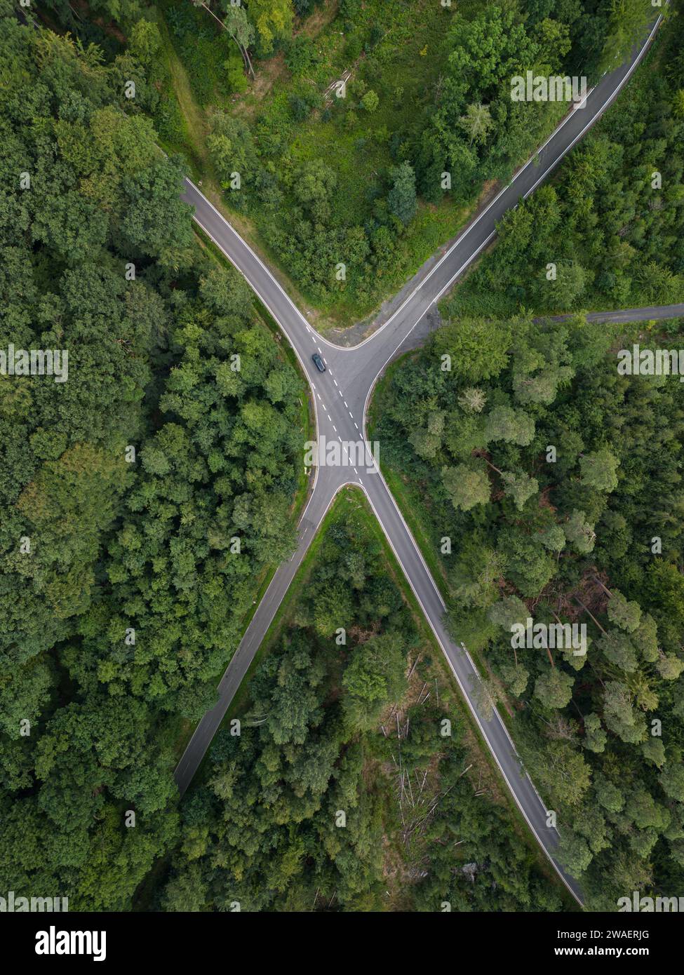 Top down view of a X shaped crossroad between the green forest in ...