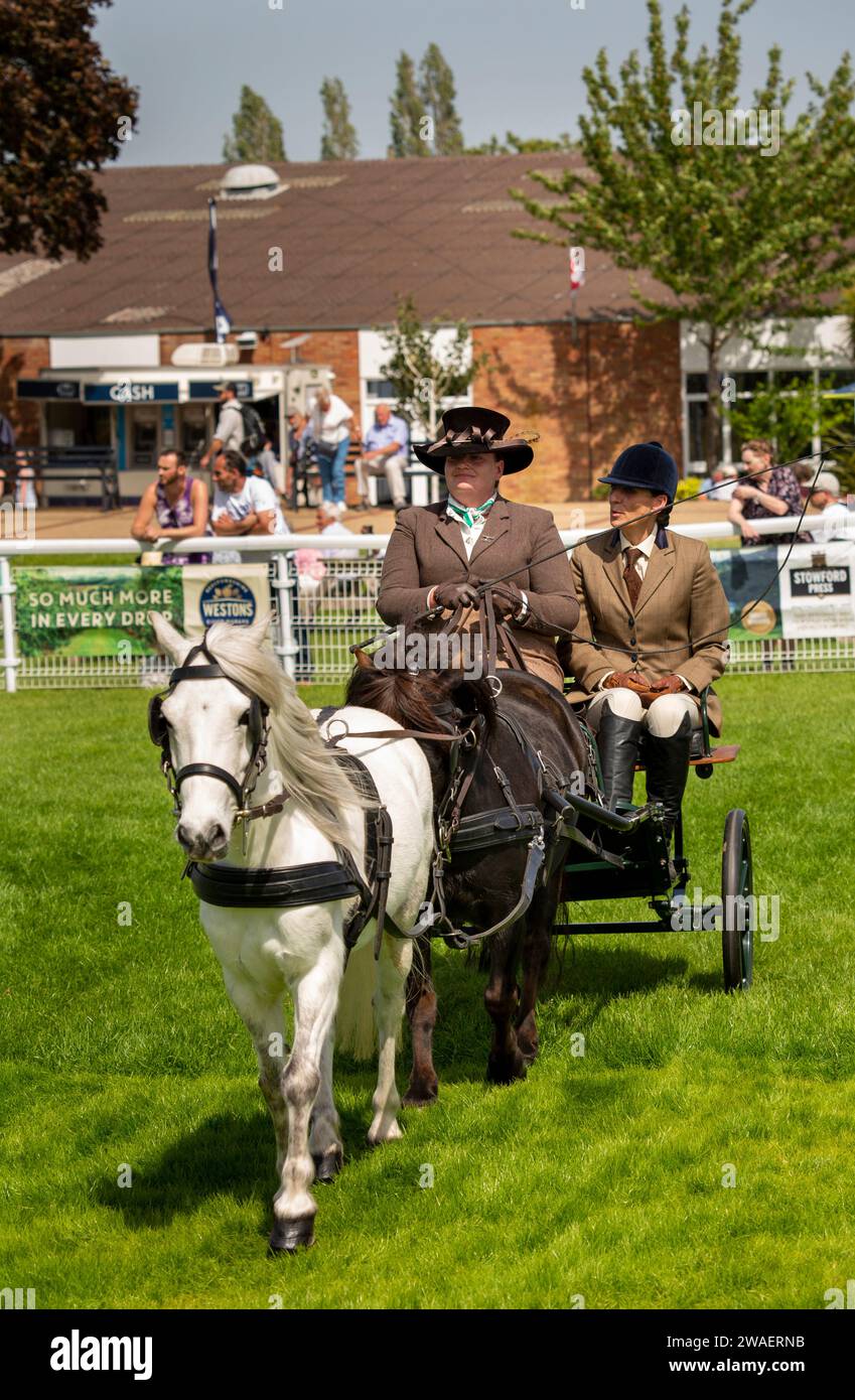 Royal three counties show malvern horse hi-res stock photography and ...