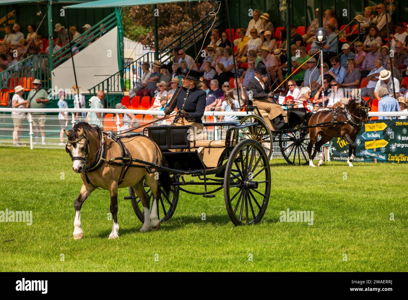 UK, England, Worcestershire, Malvern Wells, Royal 3 Counties Show, Main ...