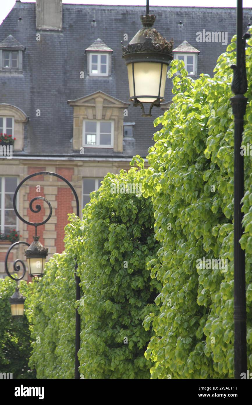 An outdoor scene featuring a green lamp-post standing in front of a row ...