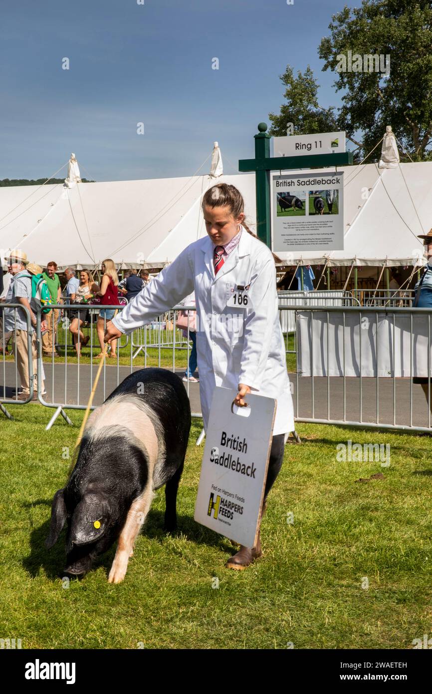 UK, England, Worcestershire, Malvern Wells, Royal 3 Counties Show ...