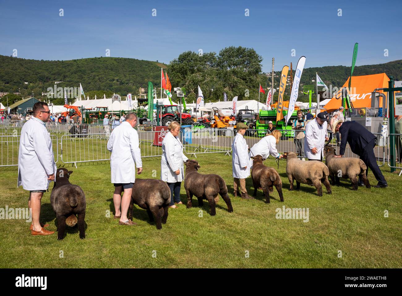 UK, England, Worcestershire, Malvern Wells, Royal 3 Counties Show ...