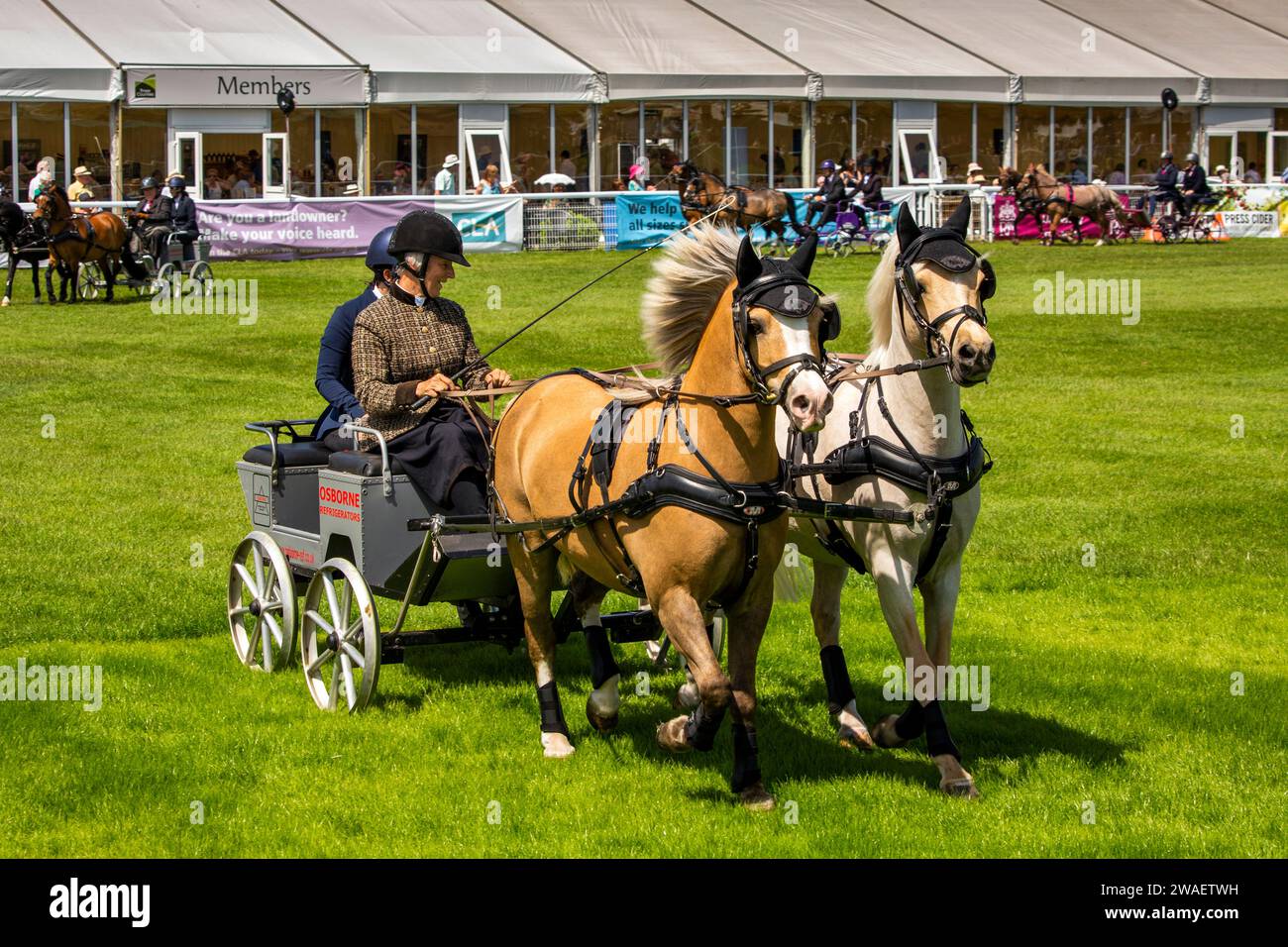 UK, England, Worcestershire, Malvern Wells, Royal 3 Counties Show, Main ...