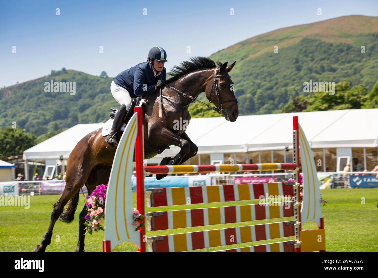 UK, England, Worcestershire, Malvern Wells, Royal 3 Counties Show, Main ...