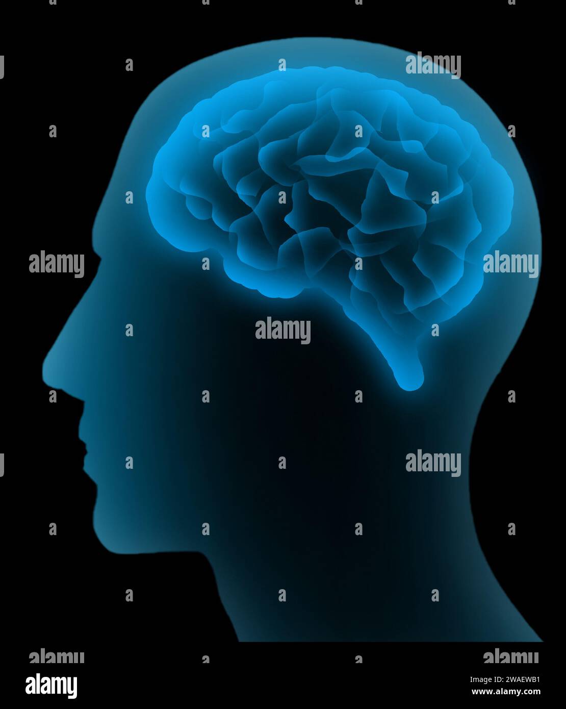 human head with brain blue glow Stock Photo - Alamy