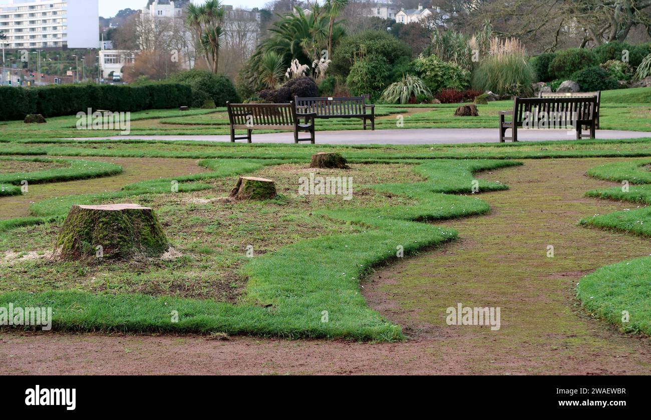 The stumps of the iconic palm trees in Abbey Park Gardens (Italian ...
