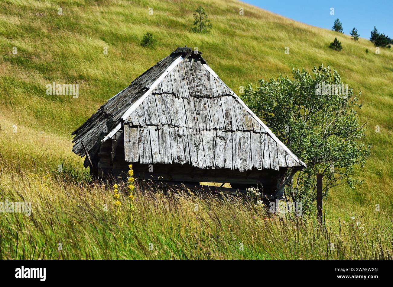Rustic log cabin stands hi-res stock photography and images - Alamy