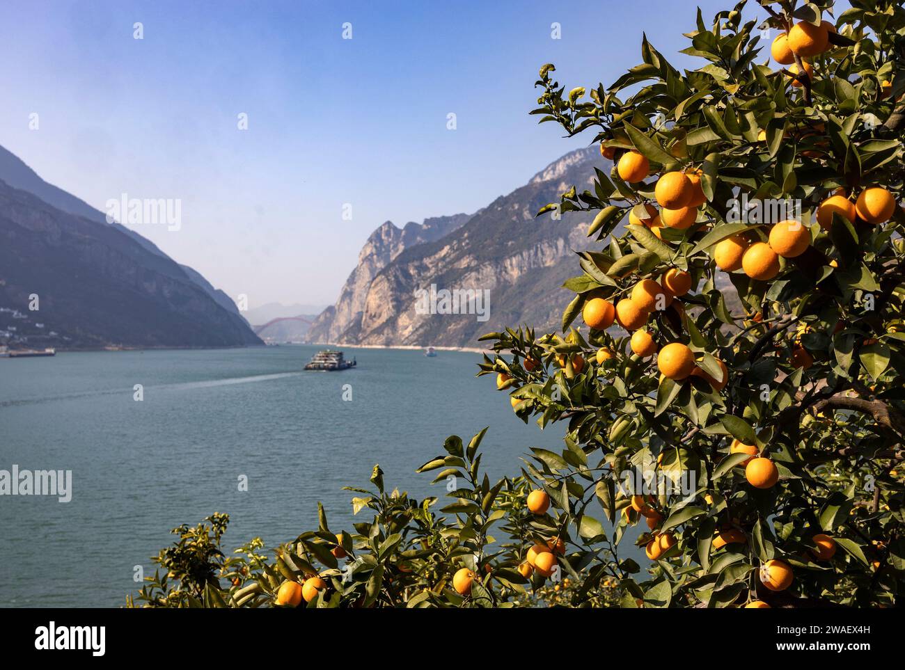 YICHANG, CHINA - JANUARY 4, 2024 - Ships sail along the Xiling Gorge ...