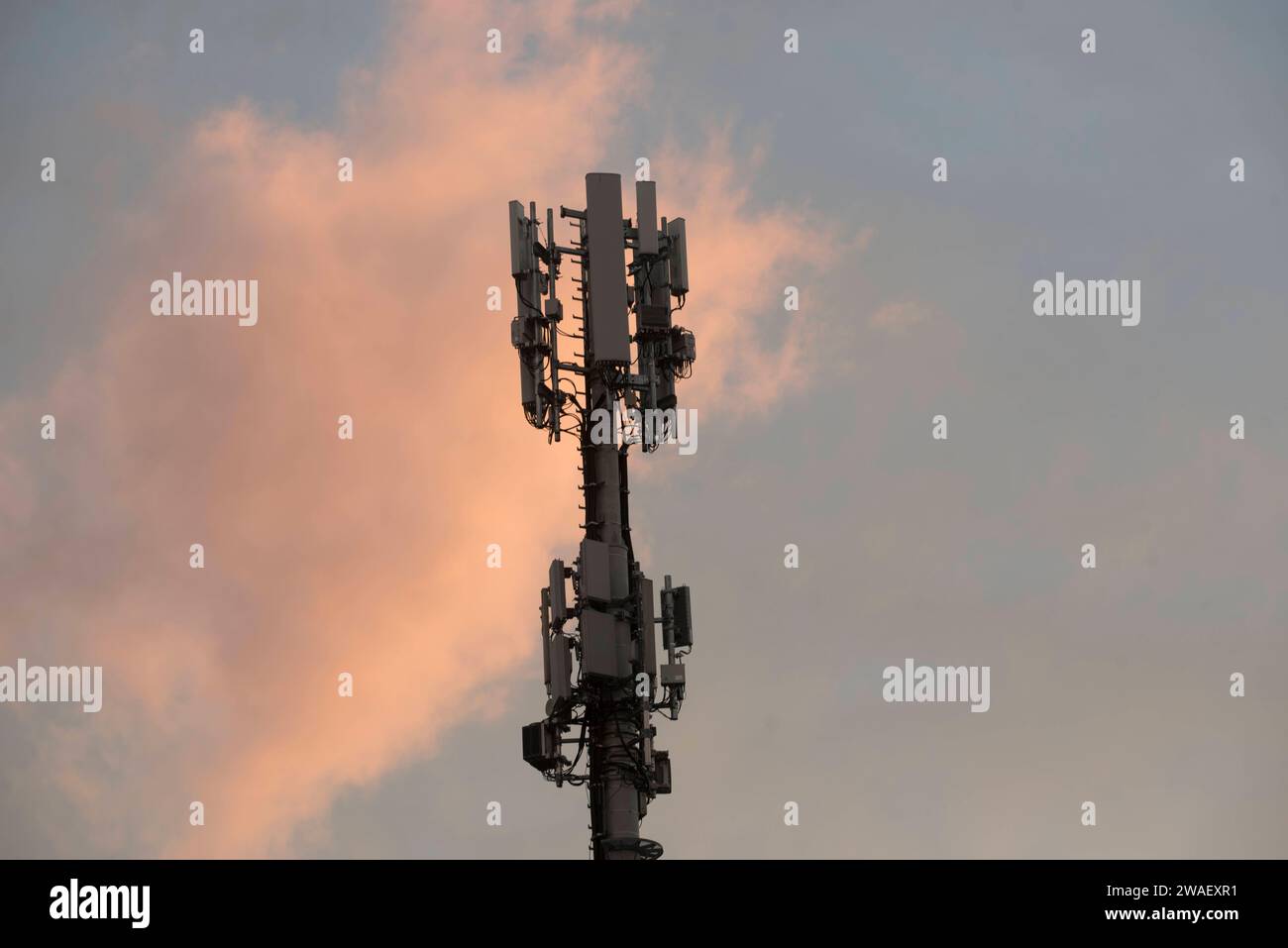 network technology is very important in a modern world network ...