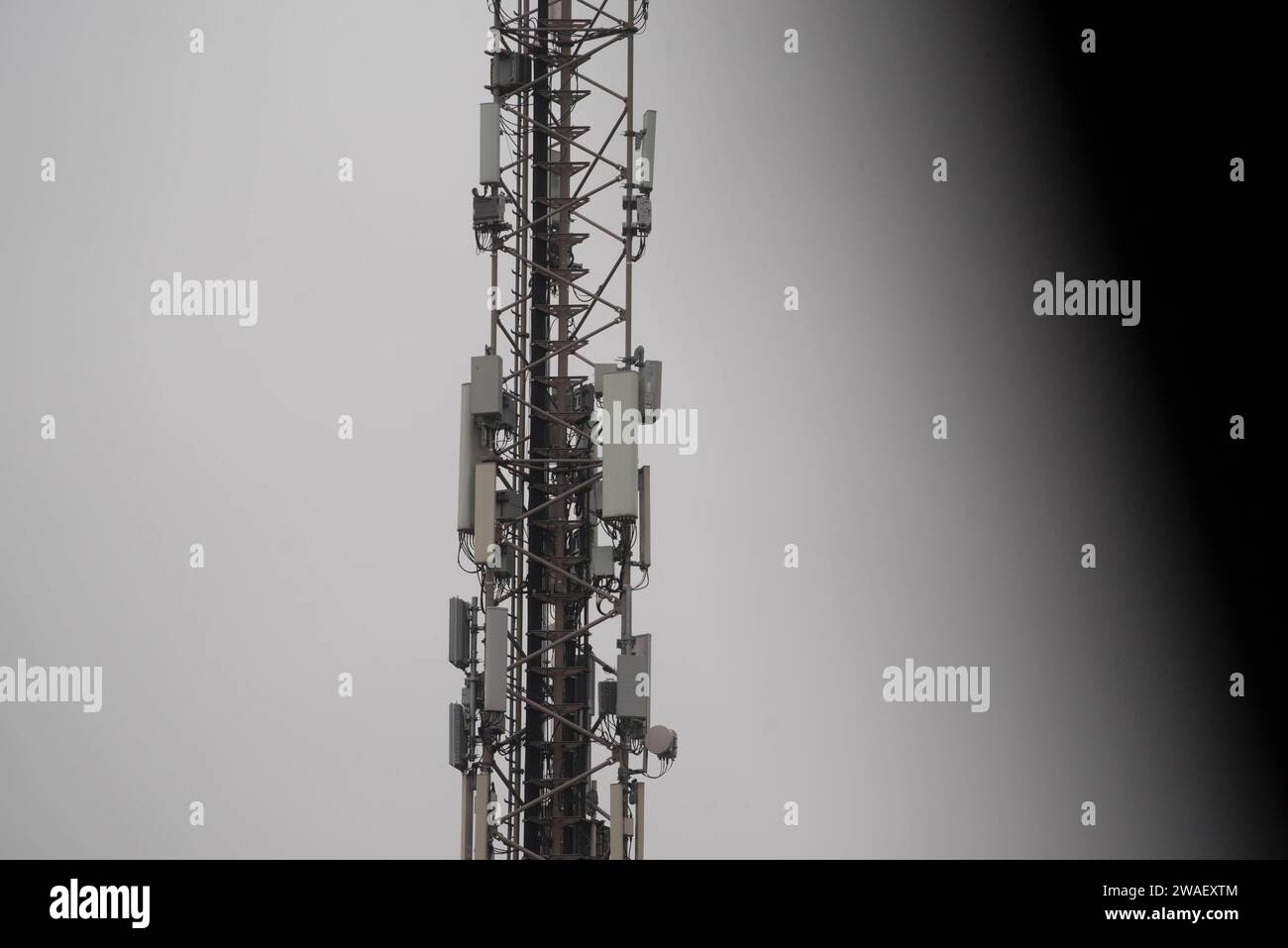 network technology is very important in a modern world network ...