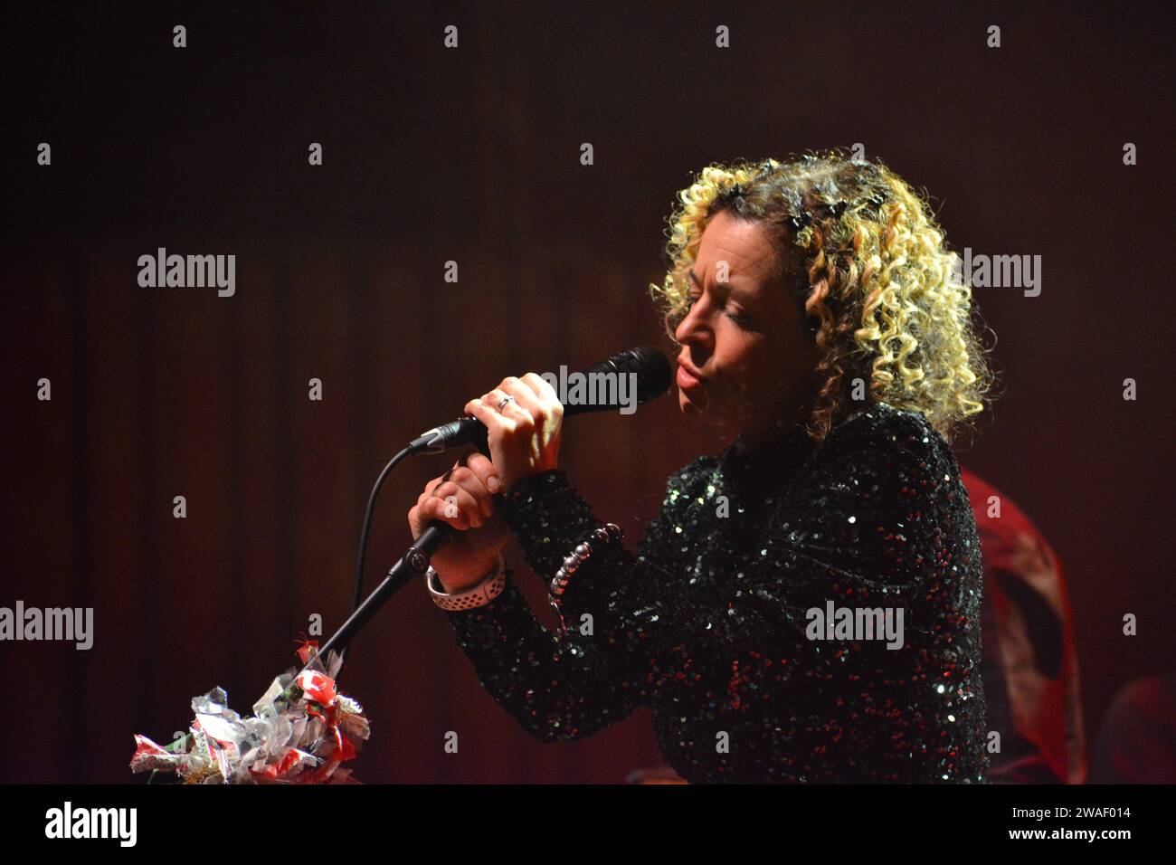 Folk artist & singer-songwriter Kate Rusby at the Bristol Beacon ...