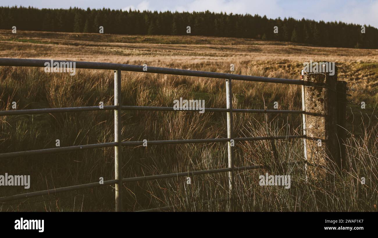 Side gated hi-res stock photography and images - Alamy