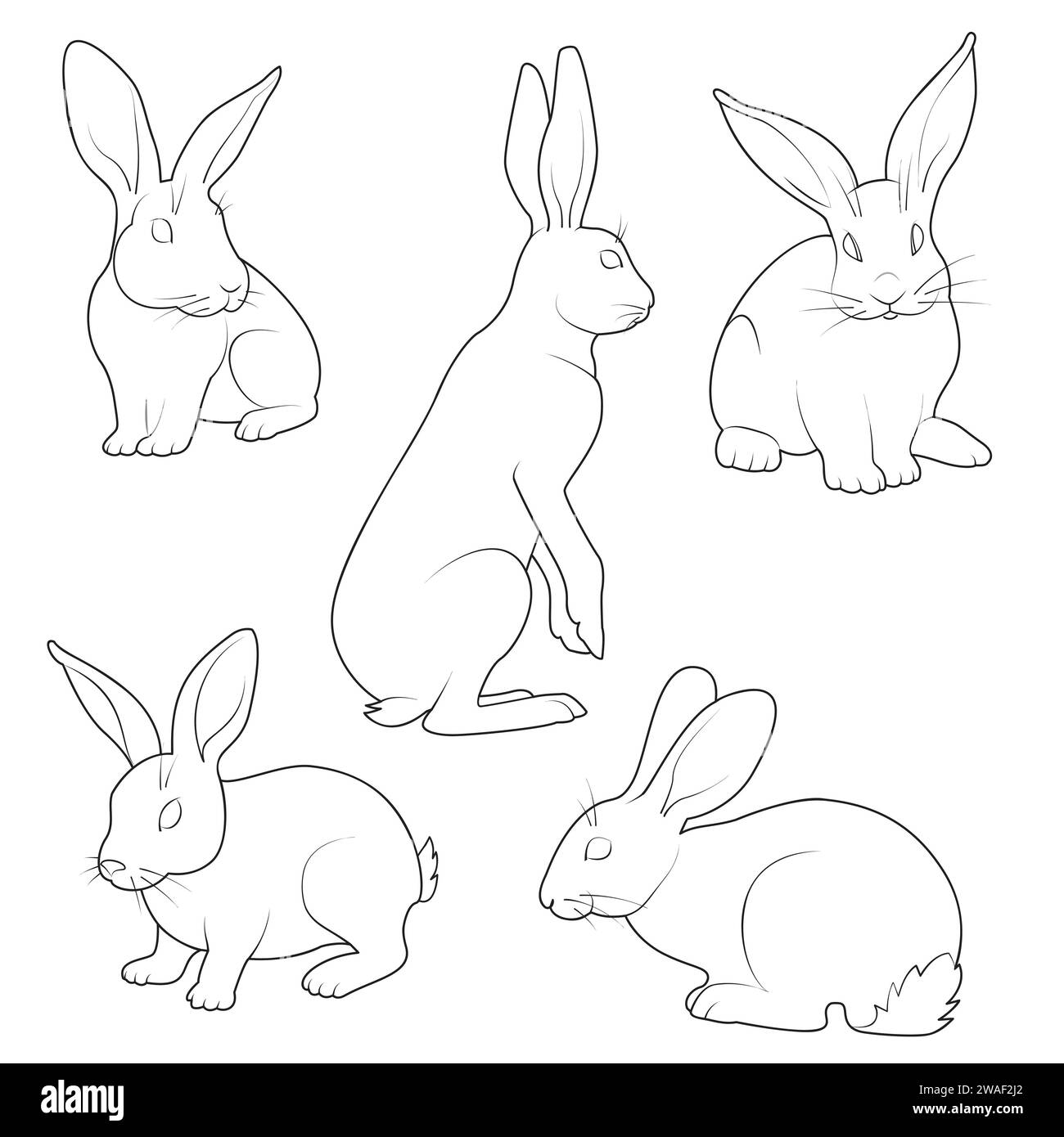 Cute bunny rabbit outline sketch vector illustration. Minimal bunny ...