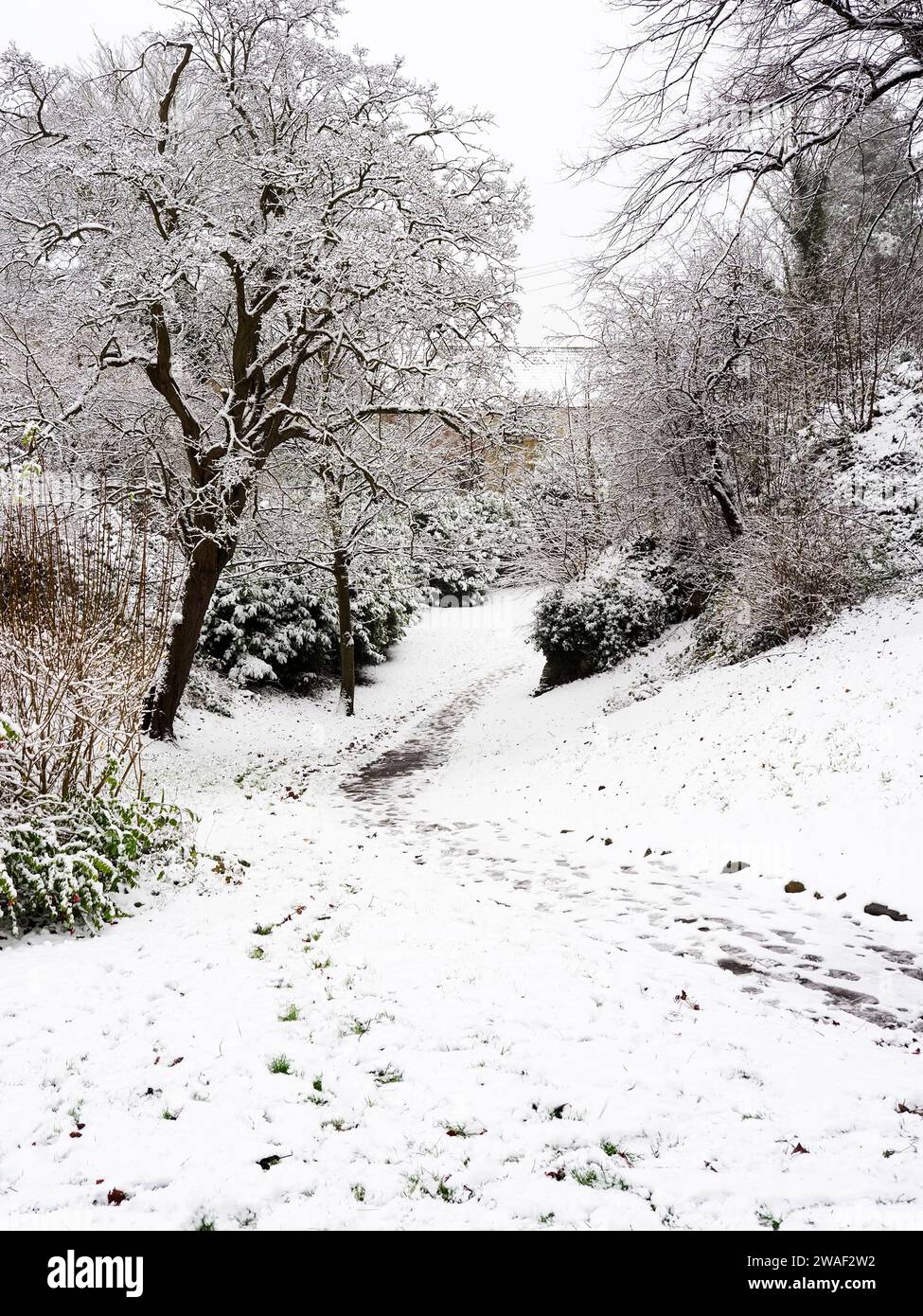 Path through Knaresborough Castle Moat covered in snow Castle Yard ...