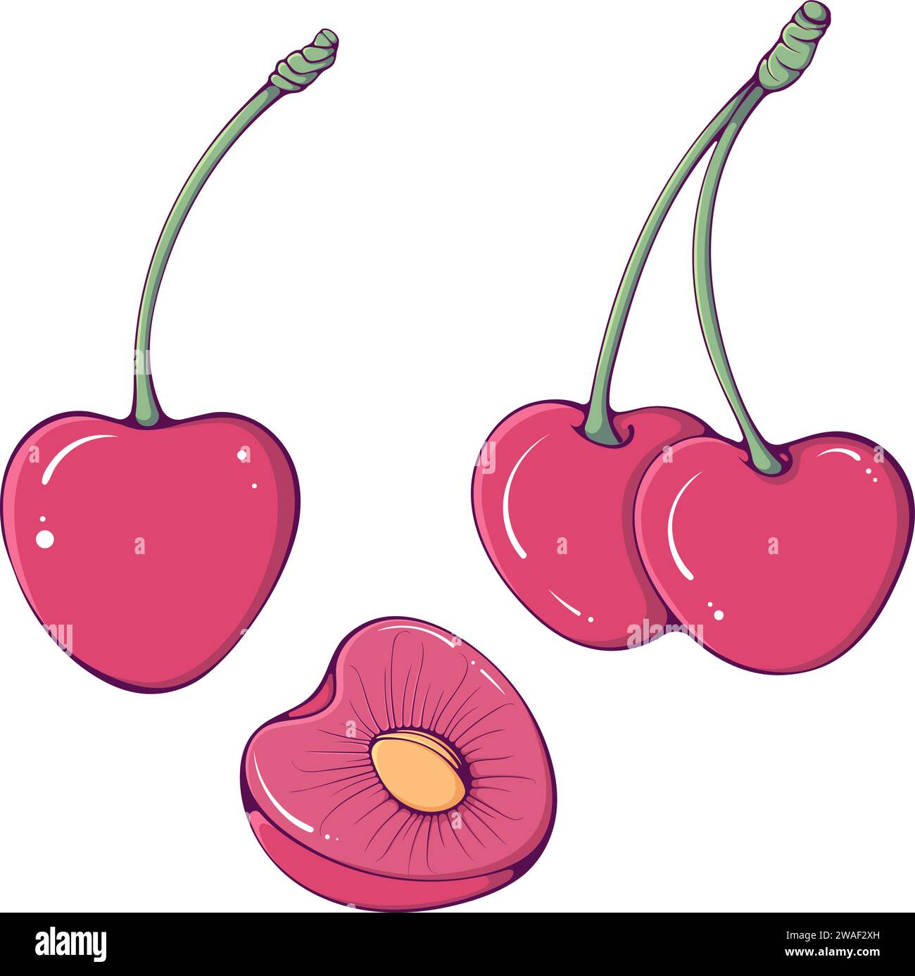 Pit cherries Stock Vector Images - Alamy