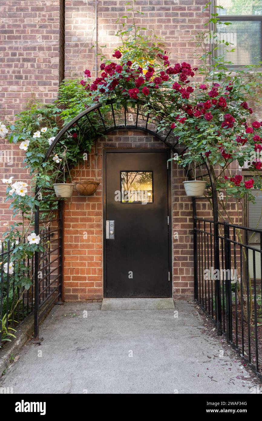 a trellis of climbing red roses arched over a black doorway of a red ...