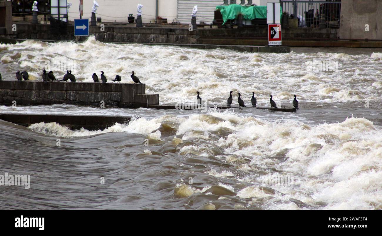 Floodwaters of the river Vltava (Moldau) River in Prague, Czech ...