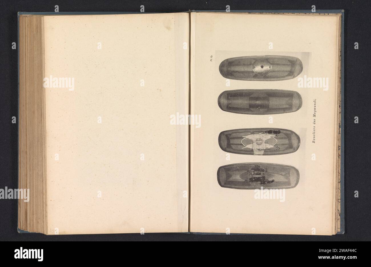 African tribal shield hi-res stock photography and images - Alamy