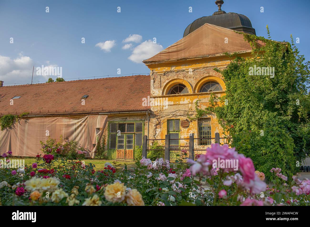Royal Palace of Godollo,Hungary in summer season Stock Photo - Alamy