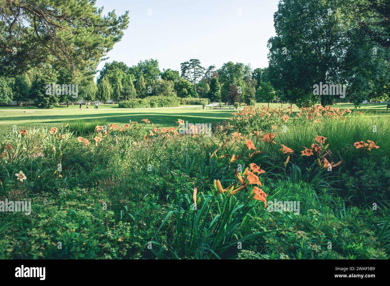 Royal Palace of Godollo,Hungary in summer season Stock Photo - Alamy
