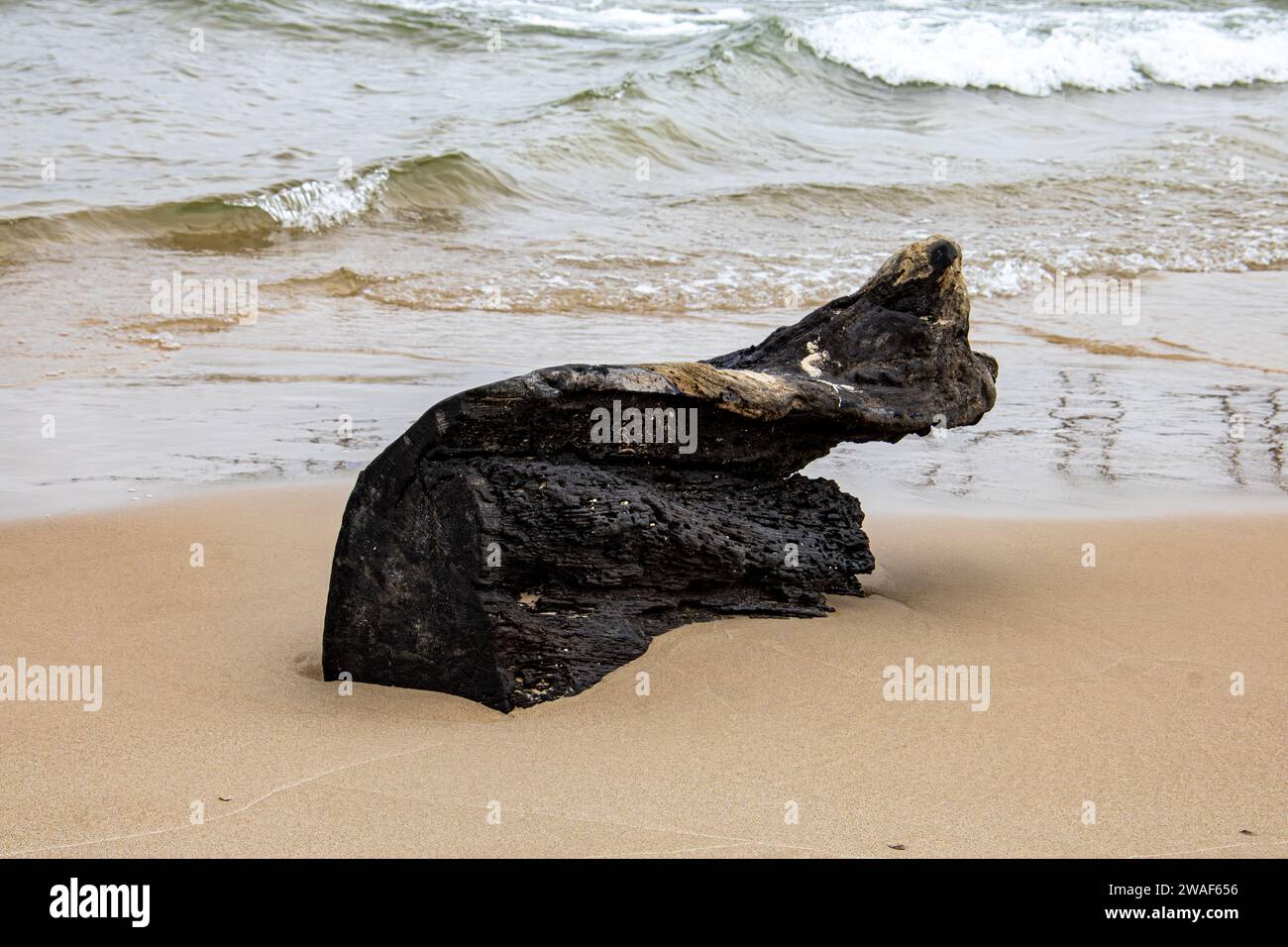 Log on the beach in winter Stock Photo - Alamy