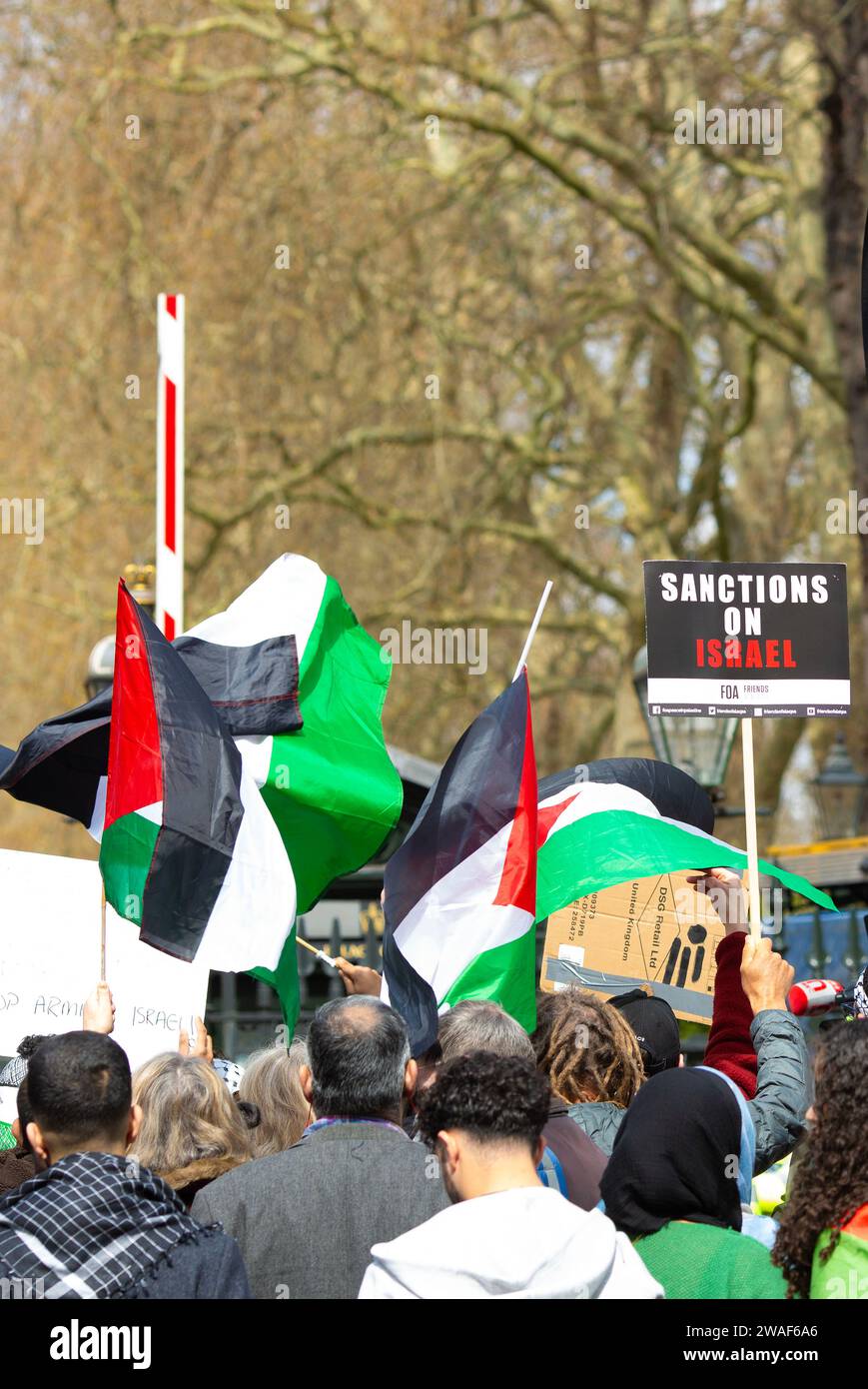 Pro-Palestinian protesters gather with flags and placards during a ...