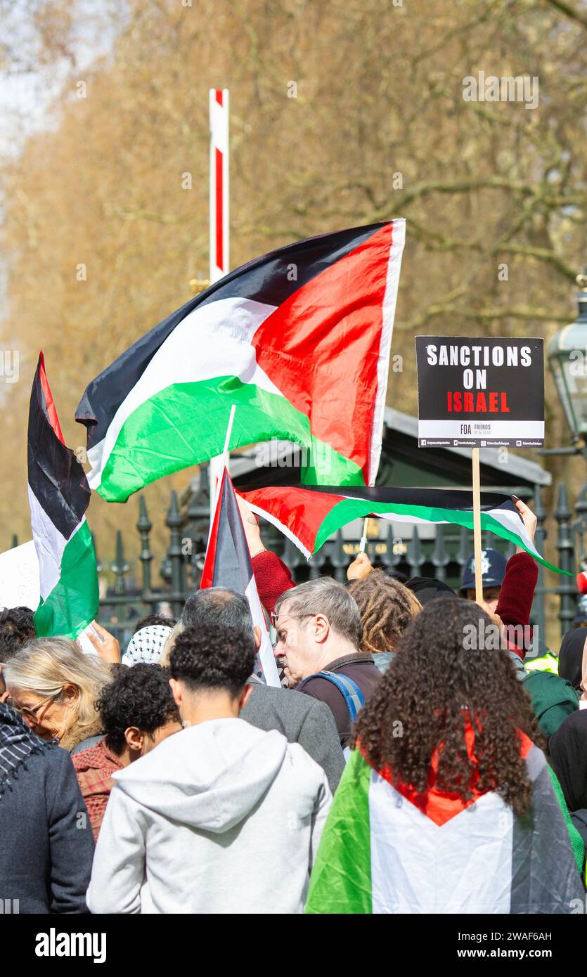 Pro-Palestinian protesters gather with flags and placards during a ...