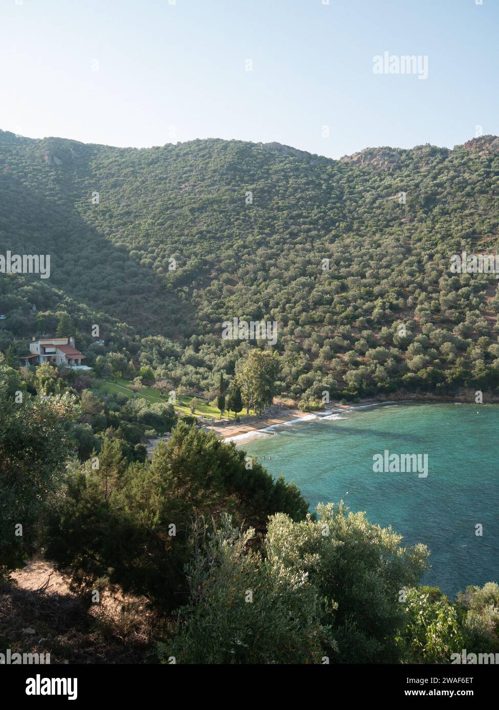 Beach near Agia Marina, Thessaly, Greece, forest, trees, olive trees ...
