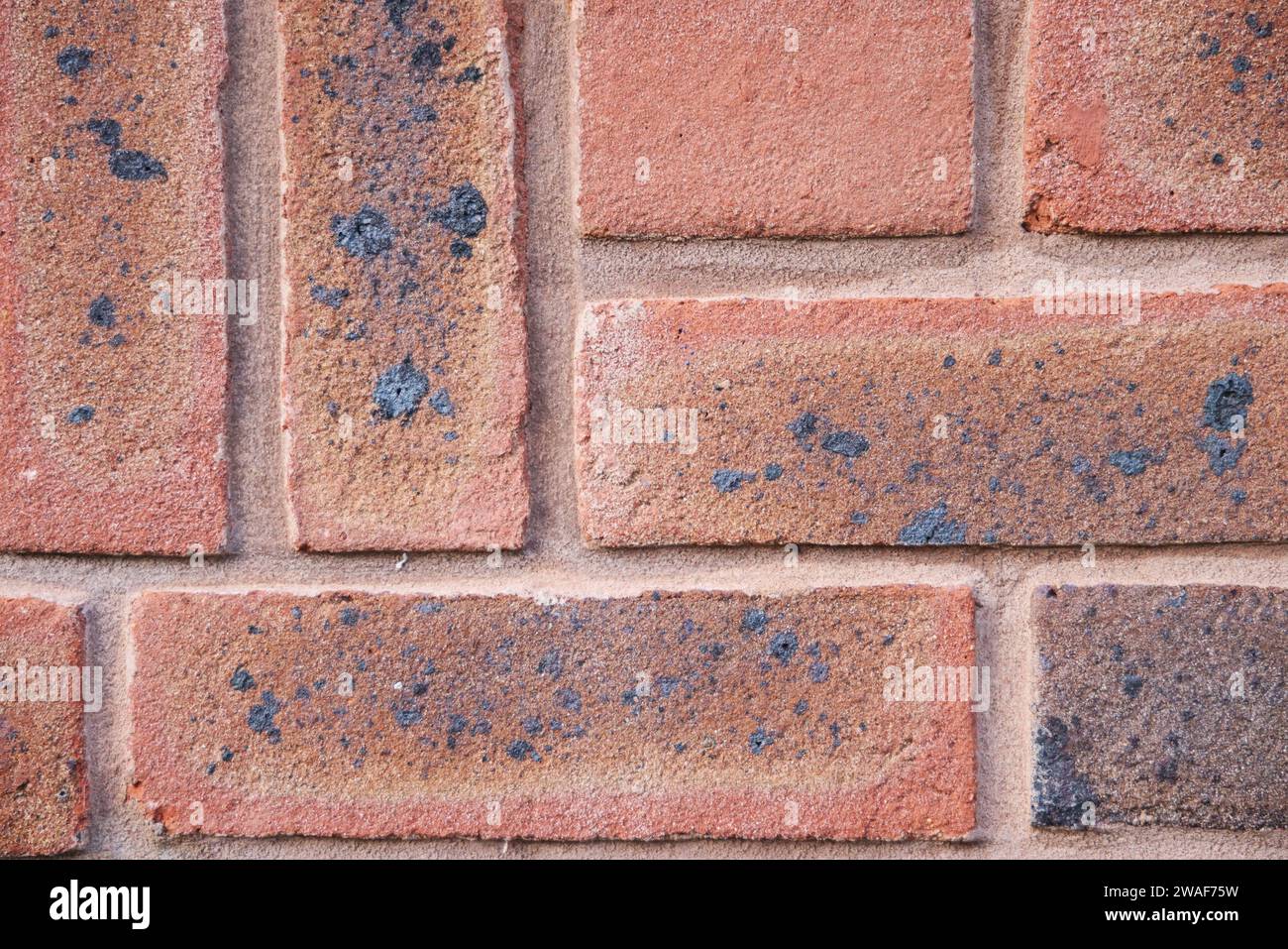 Bs en 771 1 standard hi-res stock photography and images - Alamy