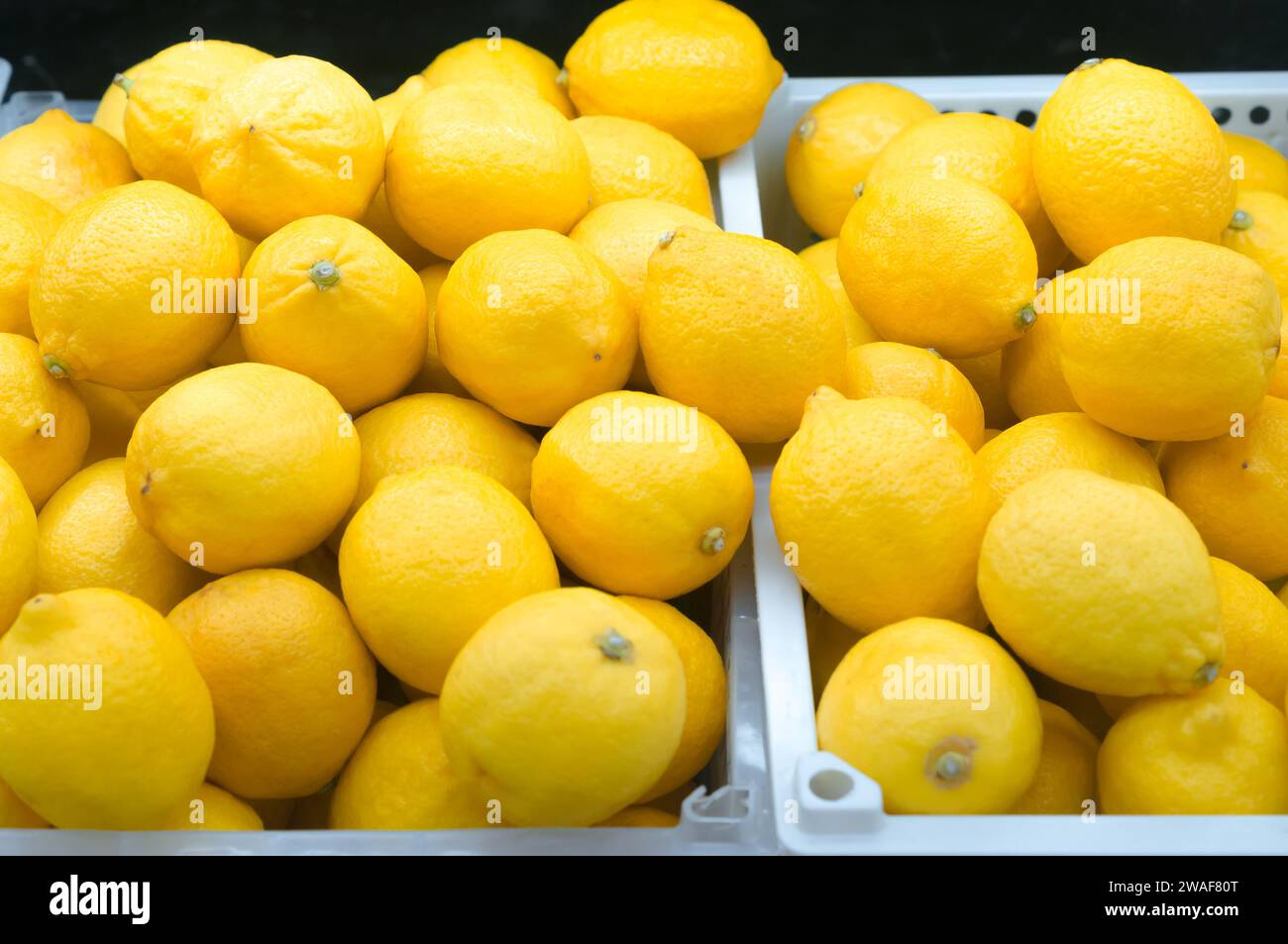 a stack of fresh yellow lemons harvested from the garden on sale in ...