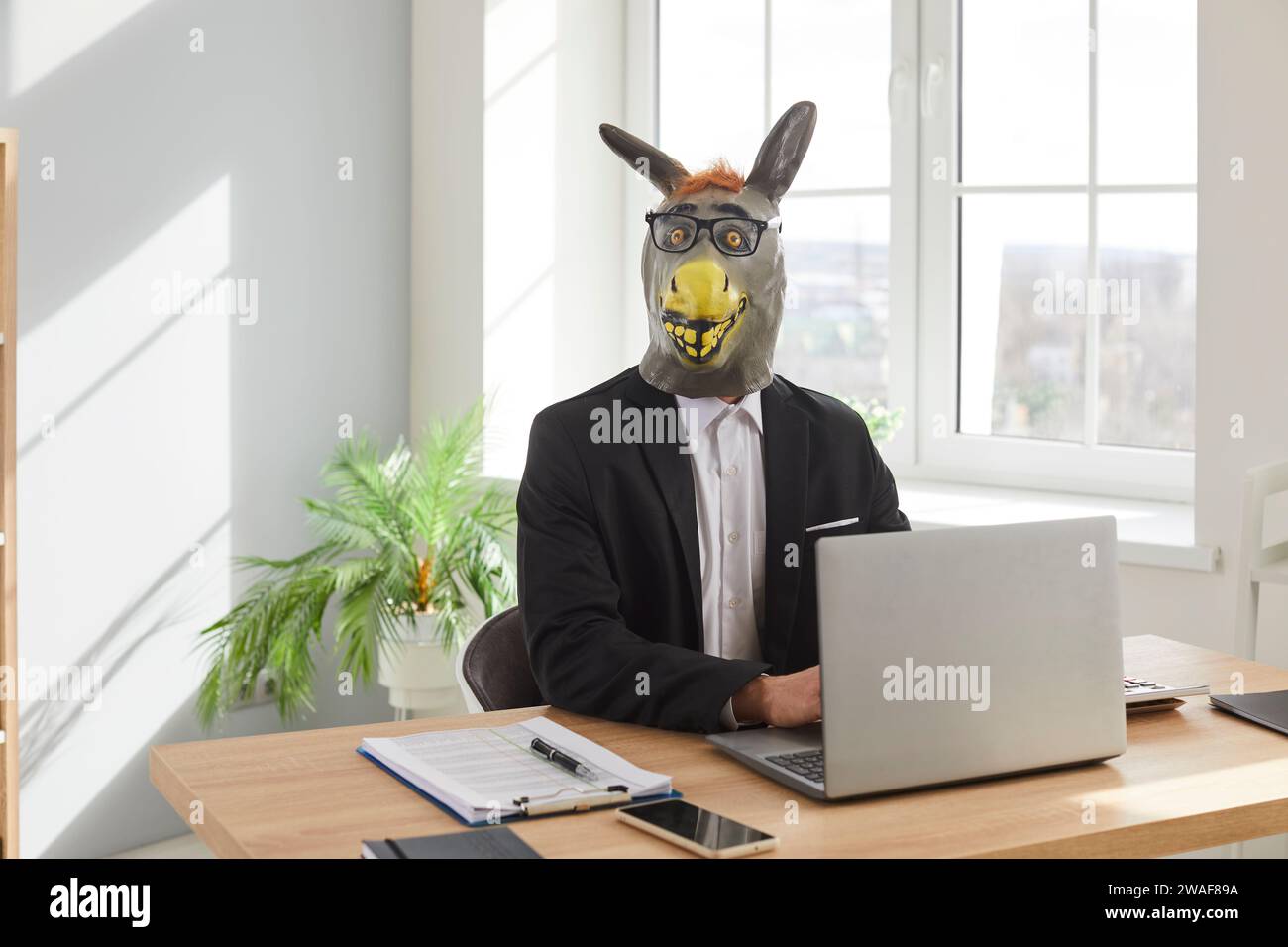 Human and donkey head hi-res stock photography and images - Alamy