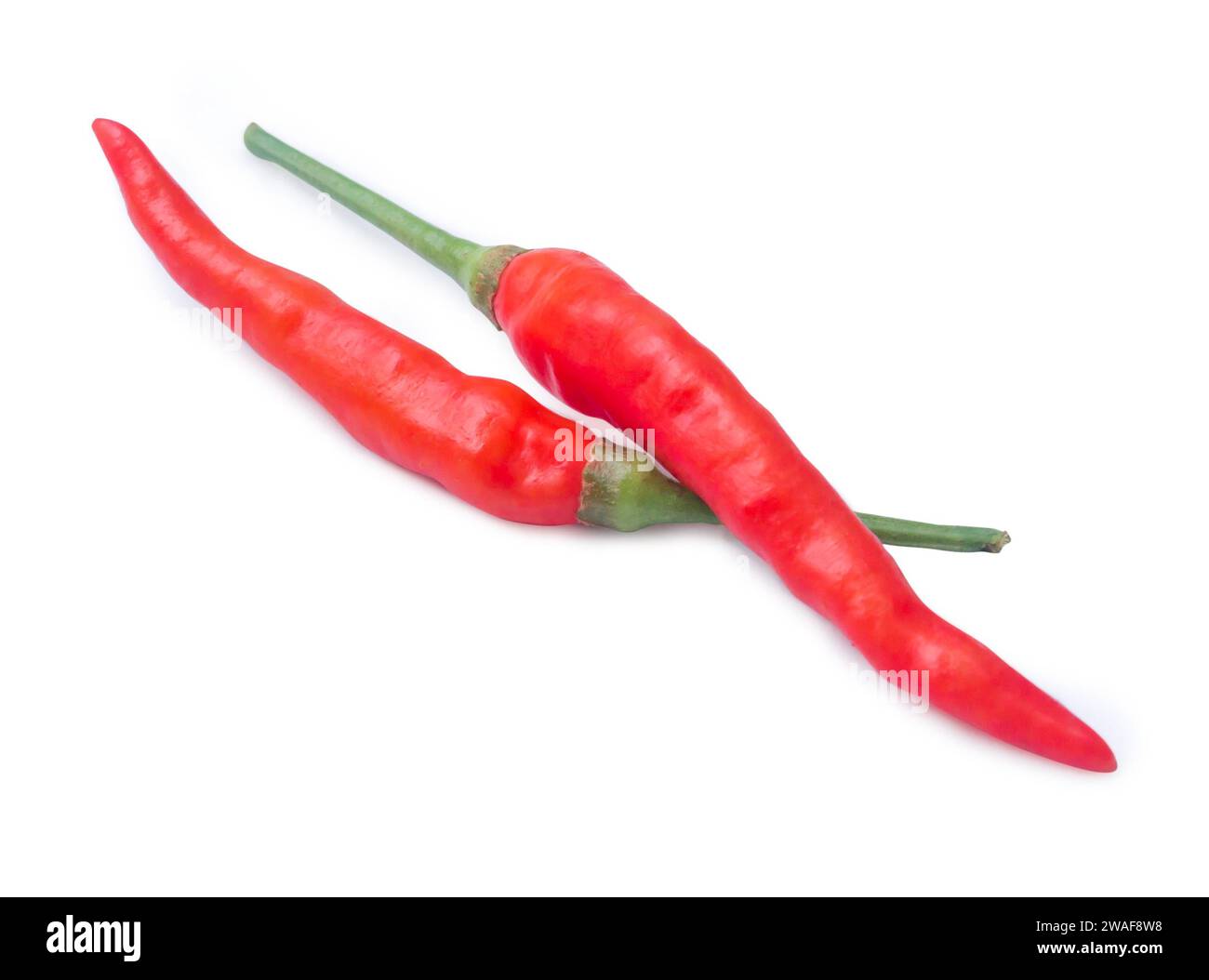 Two fresh red mexican chilies are isolated on white background with ...