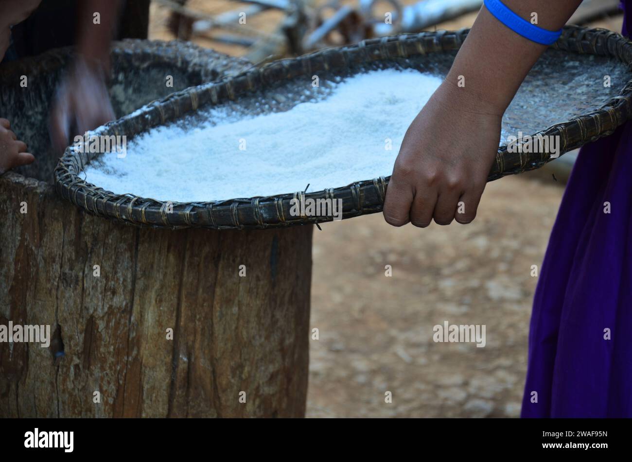 Traditional folk wisdom tribe karen people use large wooden mortar and ...