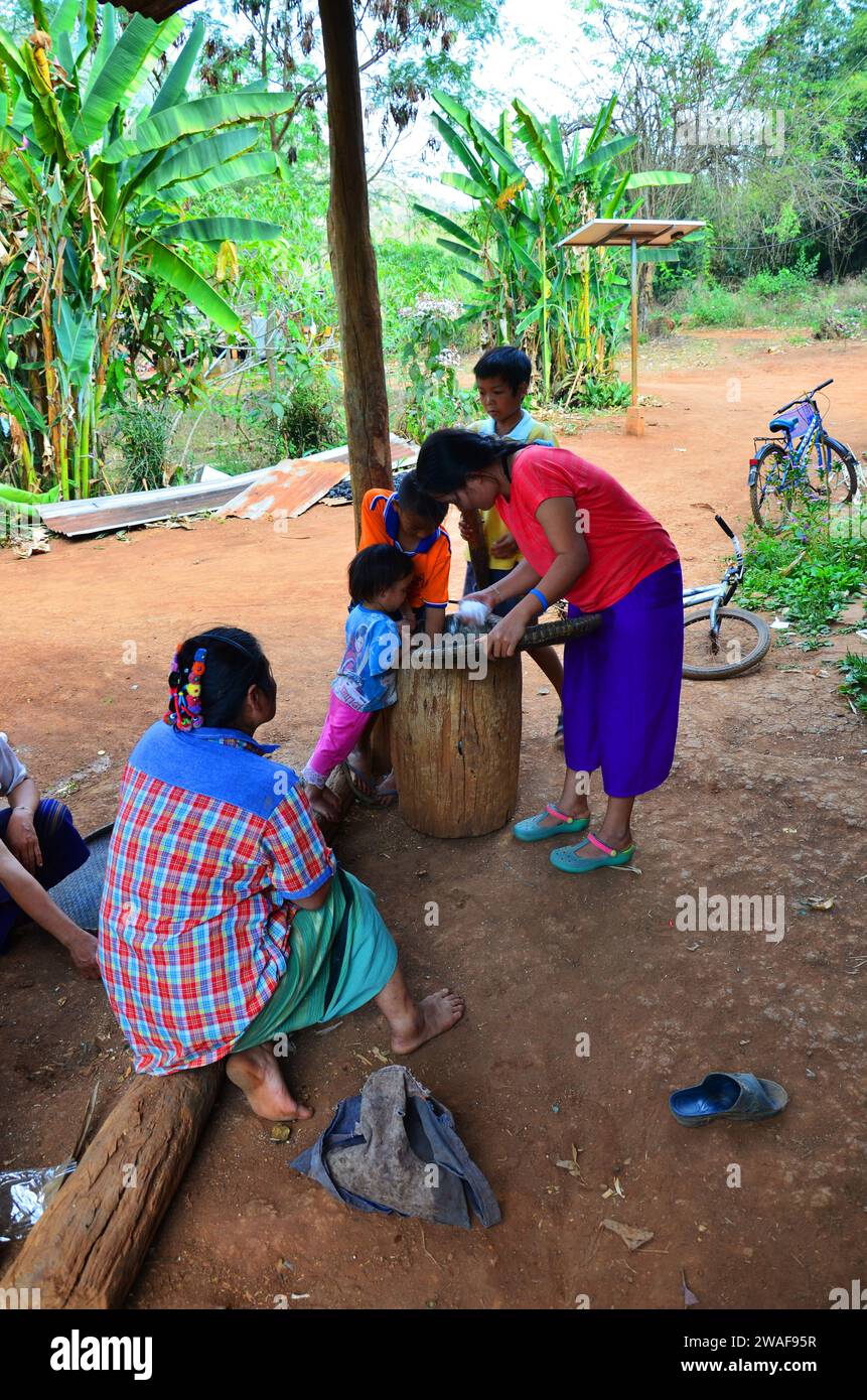 Traditional folk wisdom tribe karen people use large wooden mortar and ...