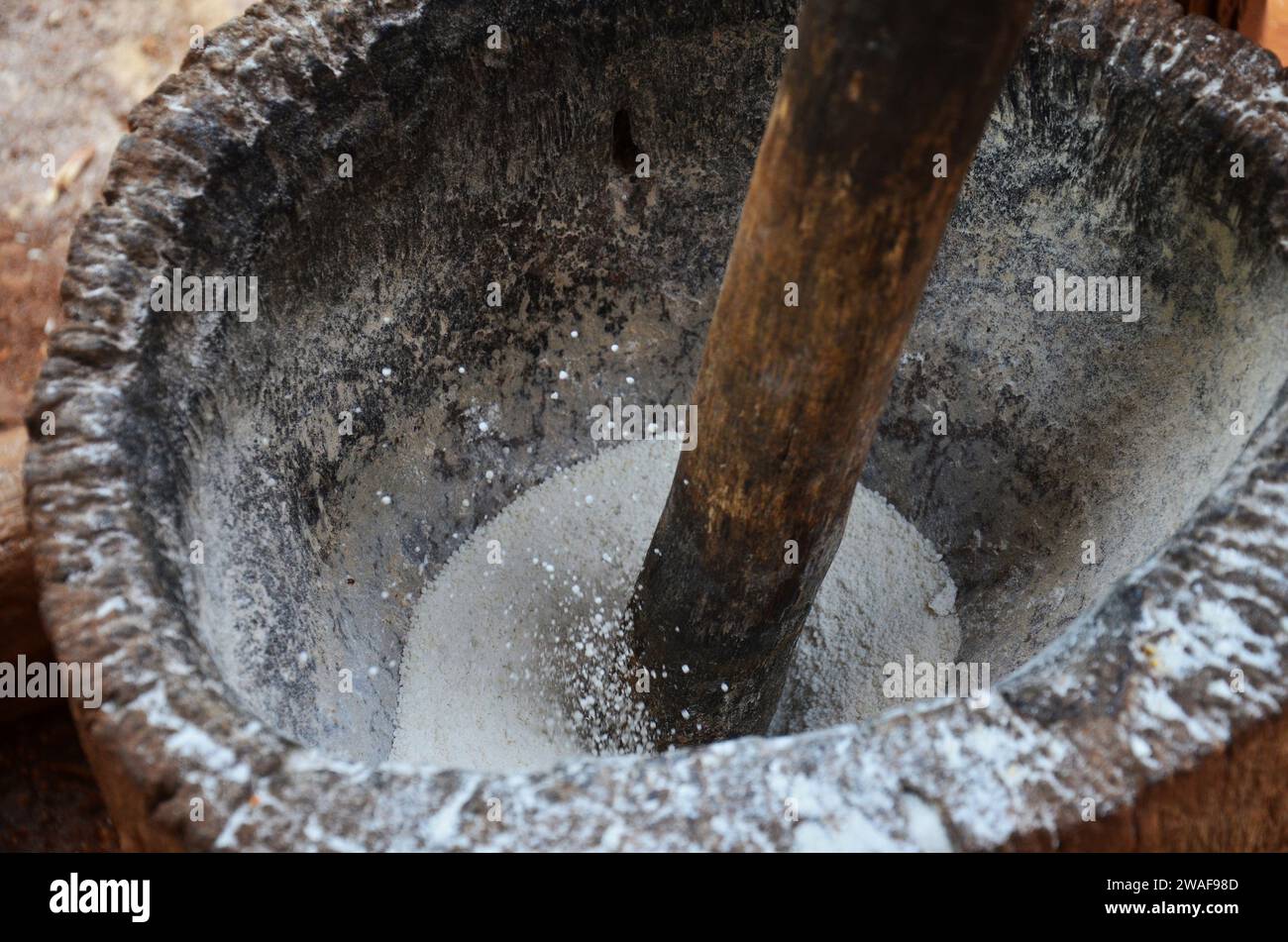 Traditional folk wisdom tribe karen people use large wooden mortar and ...