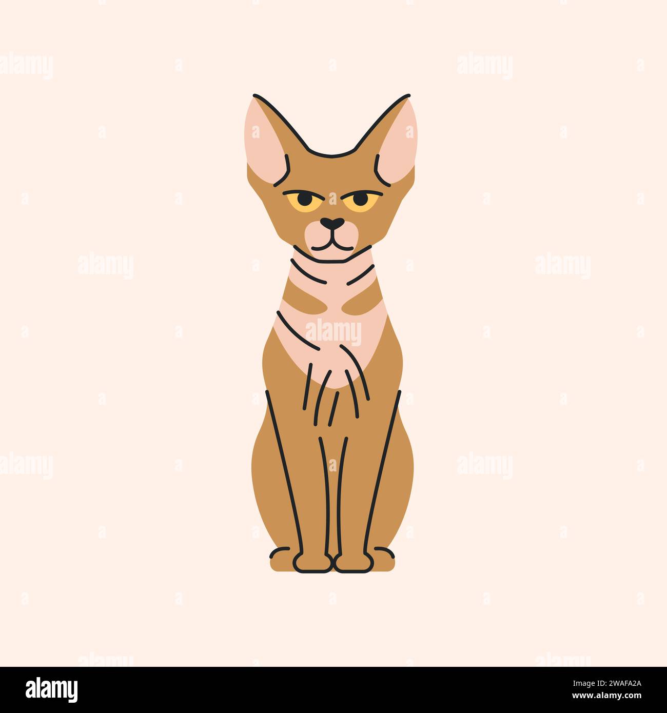 Devon Rex cat sitting color element. Cartoon cute animal. Hand draw ...