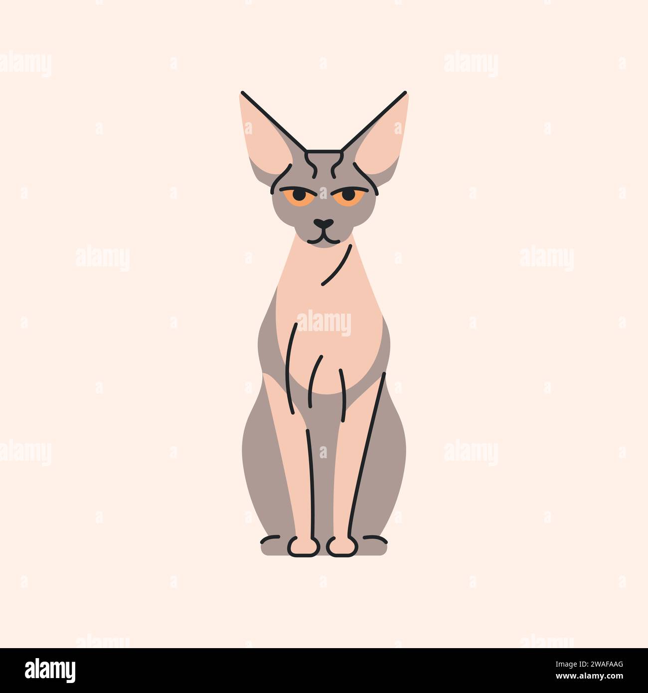 Sphynx cat sitting color element. Cartoon cute animal. Hand draw vector ...