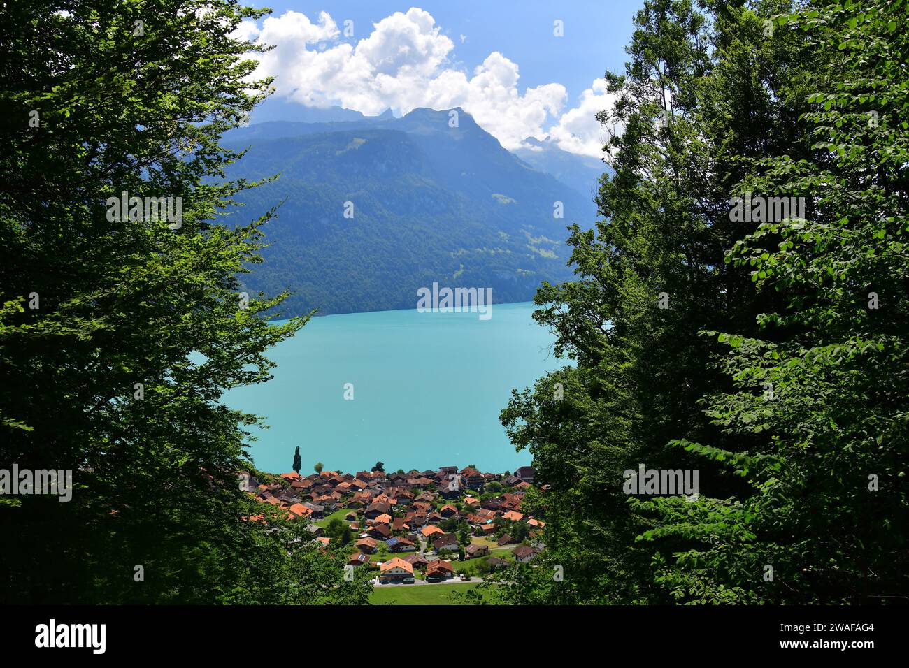 A view through the trees of Lake Beinze from the Brienze-Rothorn ...