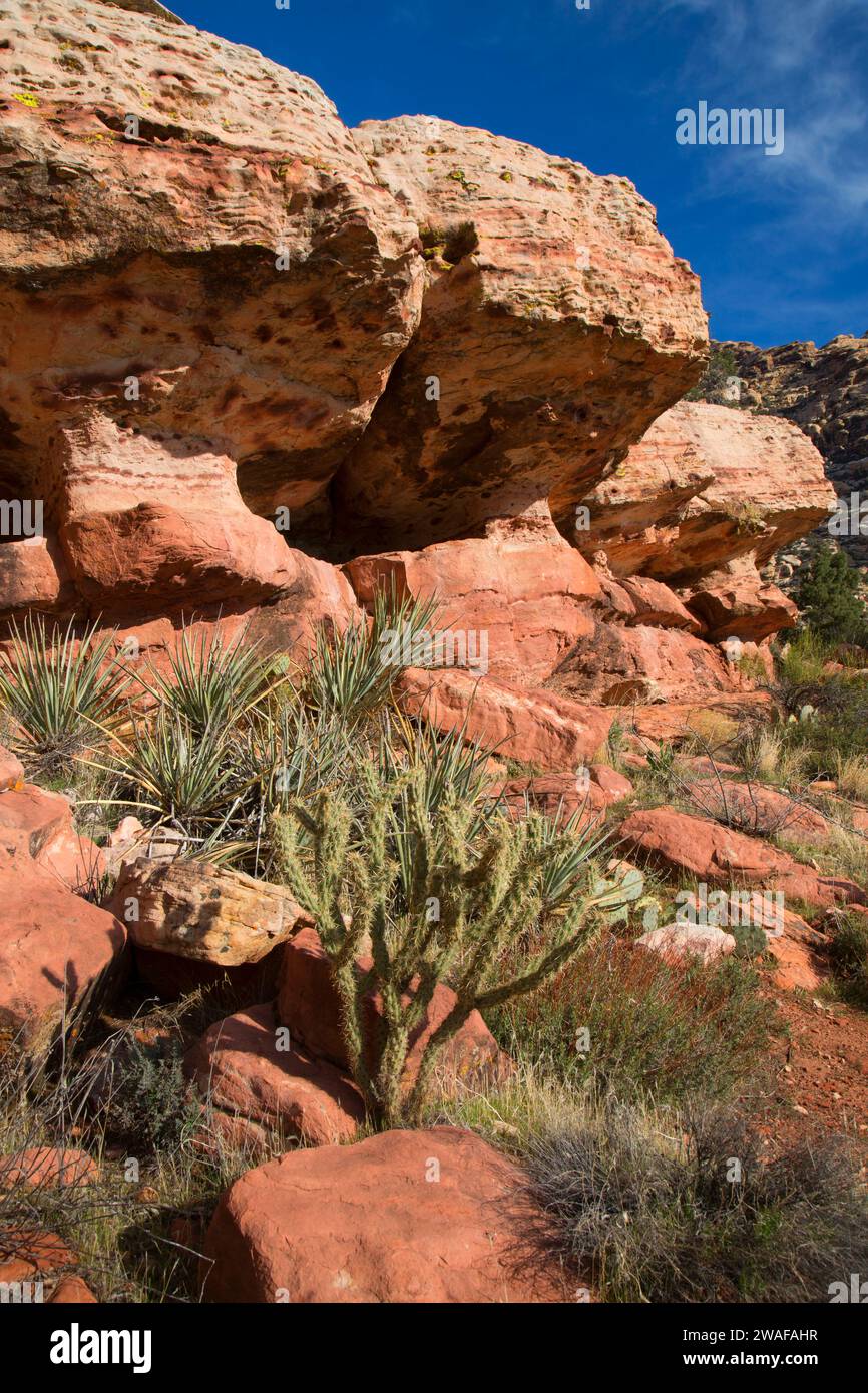 Shelter rock basin hi-res stock photography and images - Alamy