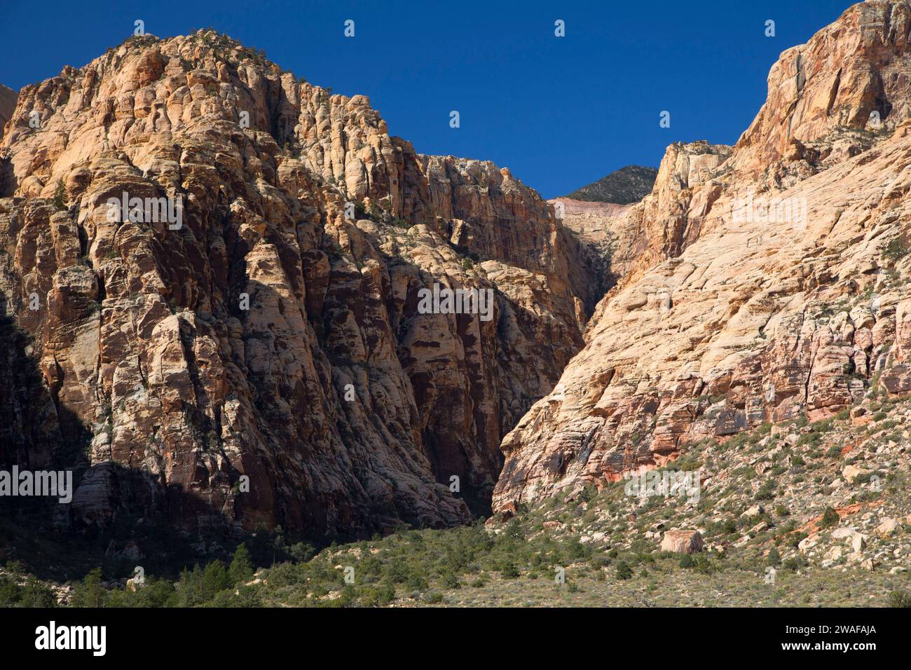 Ice Box Canyon, Red Rock Canyon National Conservation Area, Nevada ...